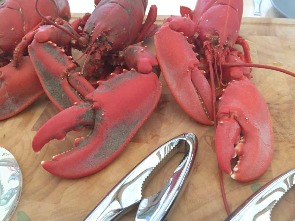 Sådan tilbereder du en hummer